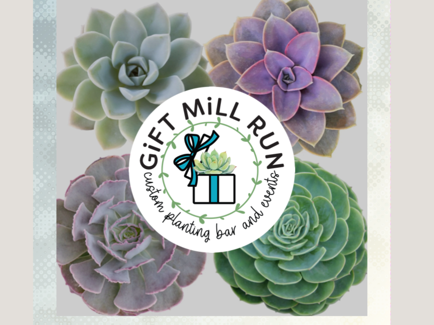 Custom Planting Bar and Succulent Planting Boxes, Events, Workshops ...