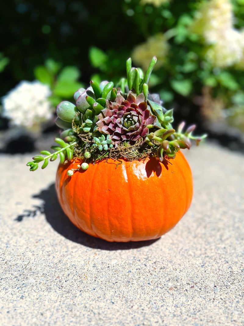 Home | Gift Mill Run