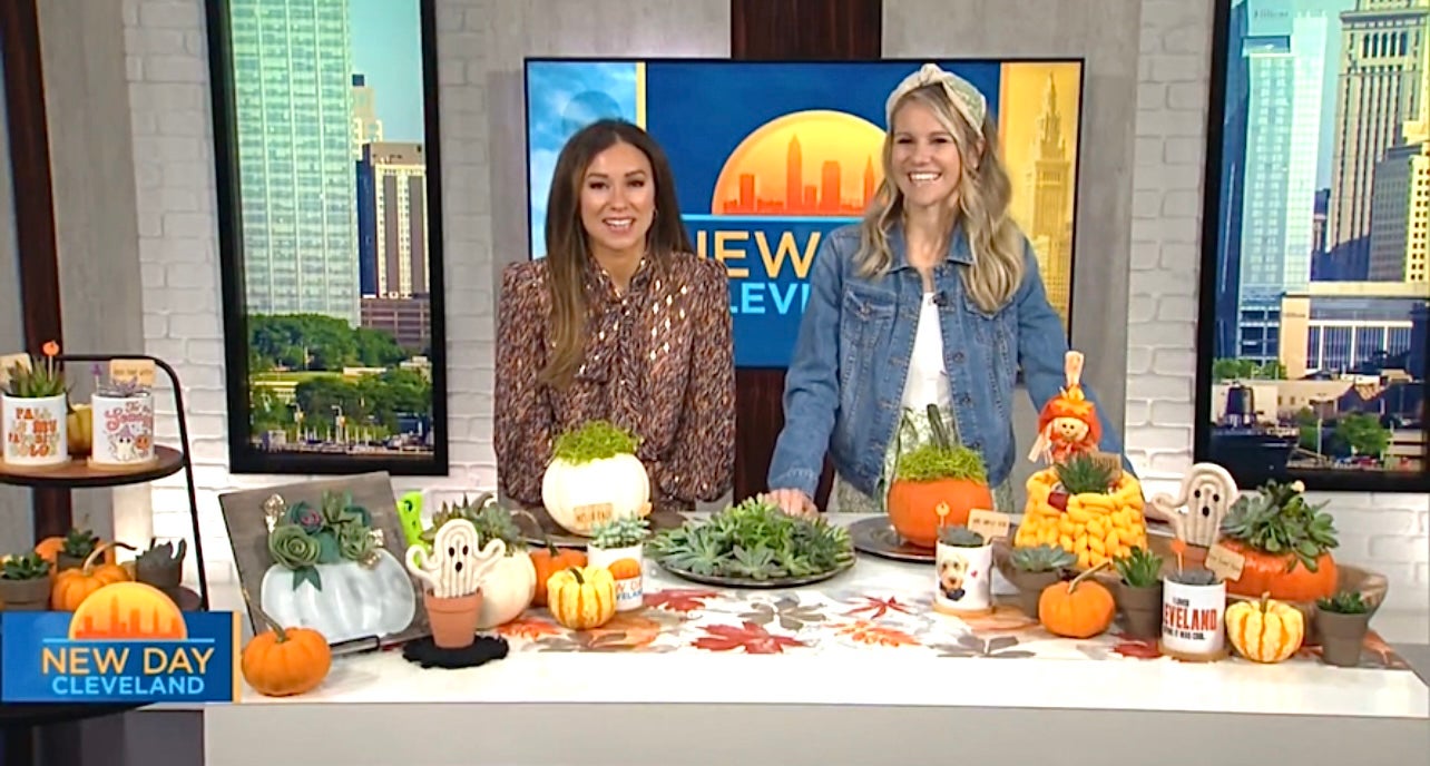 Home | Gift Mill Run